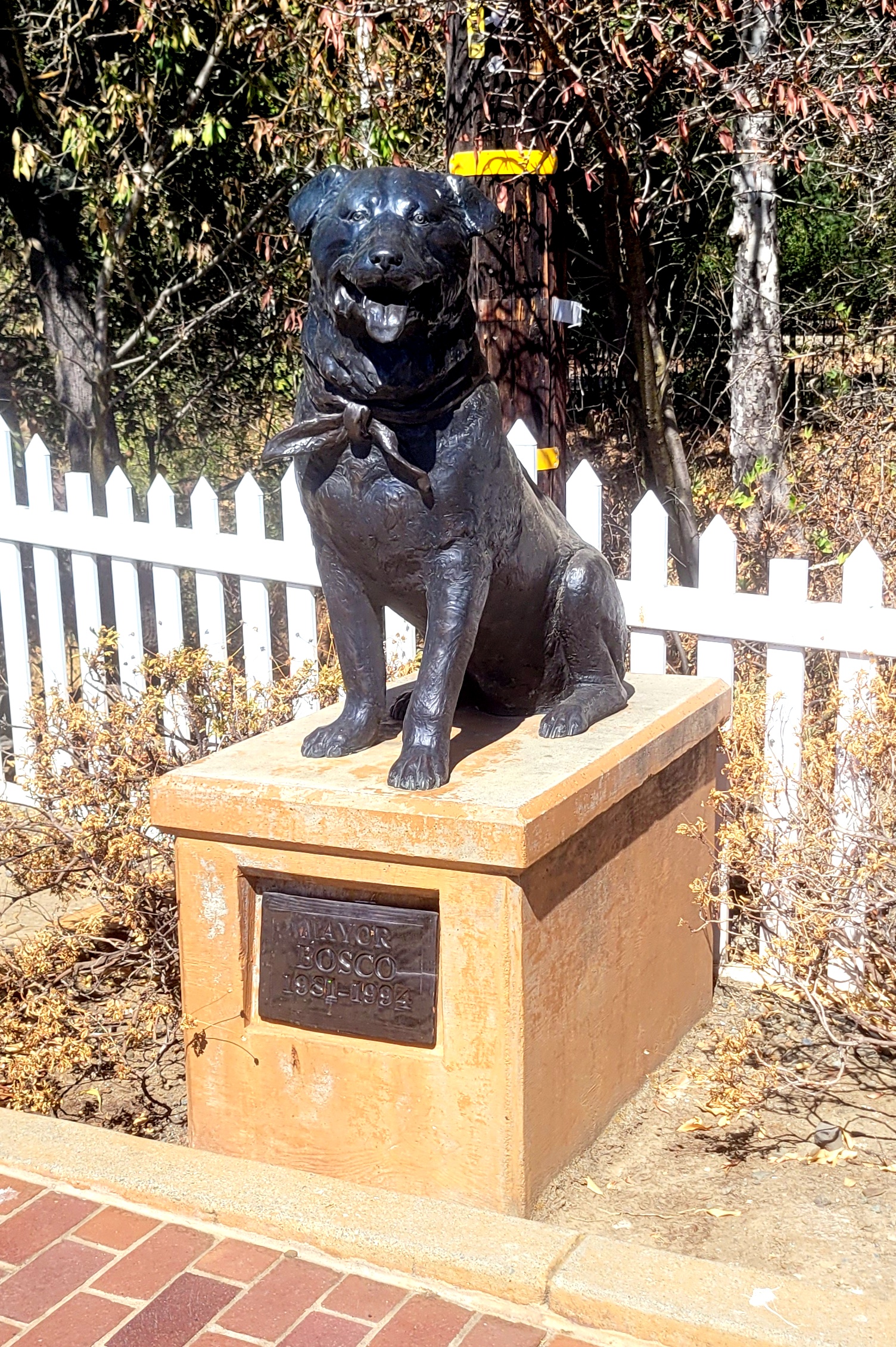 Bosco, the Dog Mayor – Sunol, California - Cap On A Map