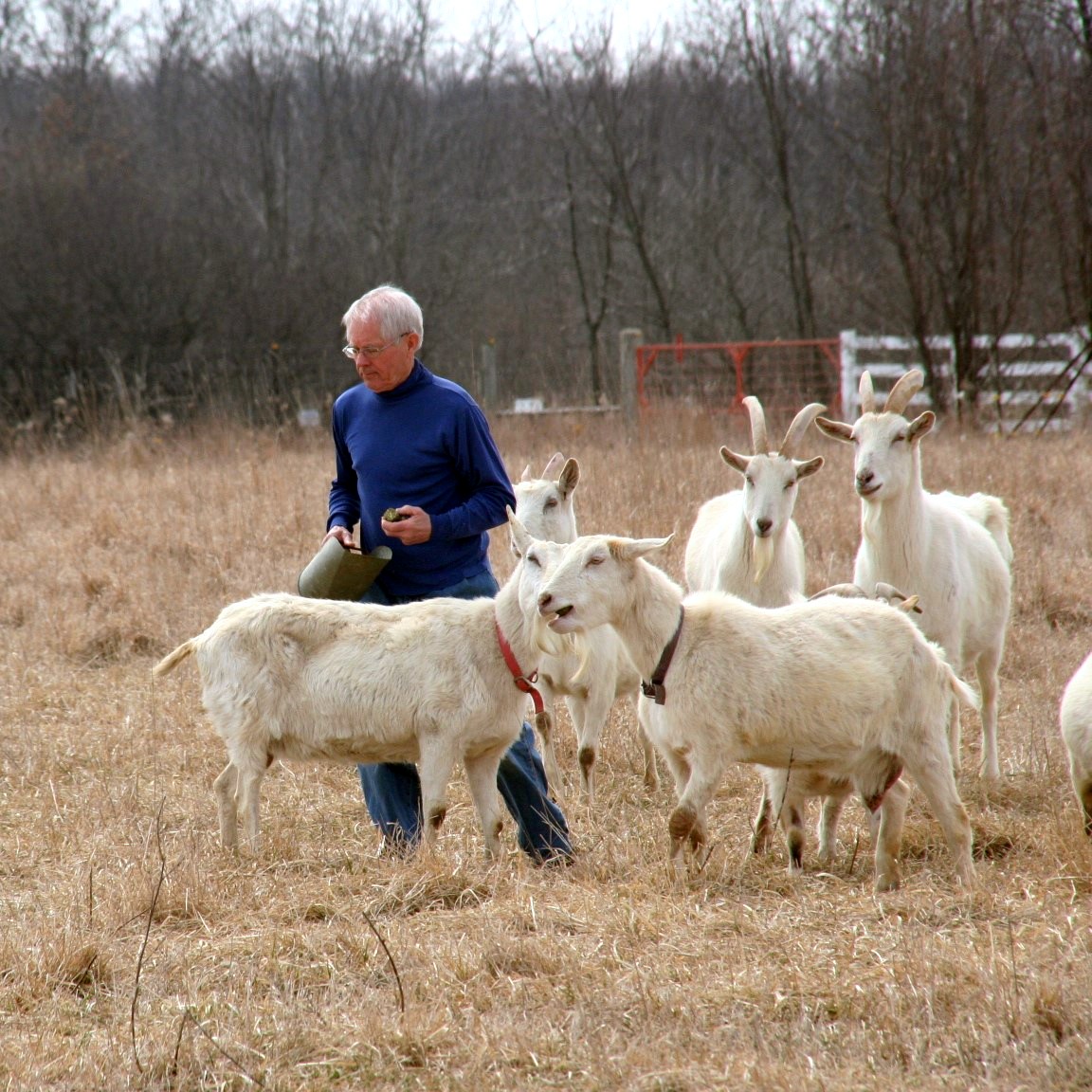 Goat Tower – Findlay, Illinois - Cap On A Map
